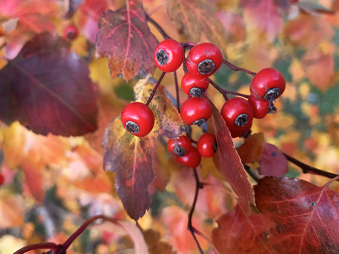 Gary Jackson: Fire When Ready Pottery